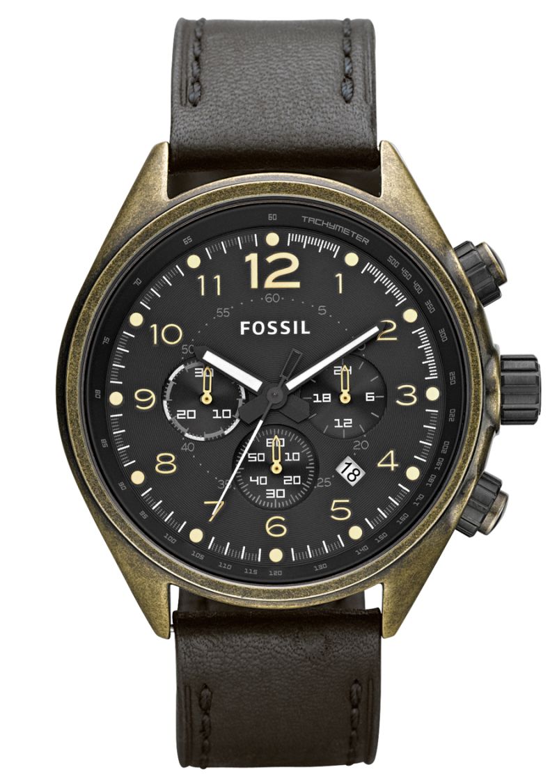 Fossil Flight CH2783