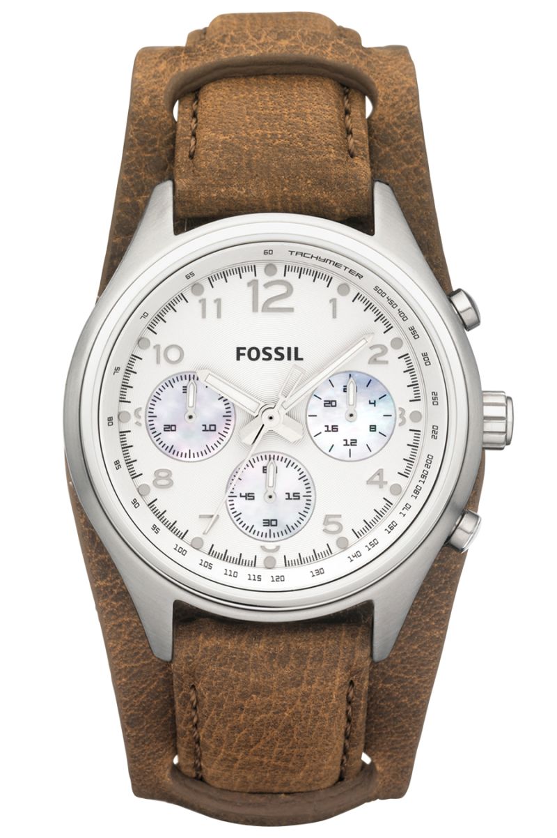 Fossil Flight CH2795