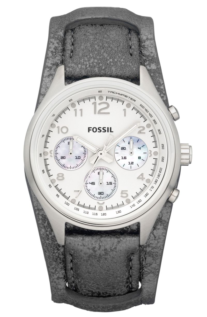 Fossil Flight CH2796